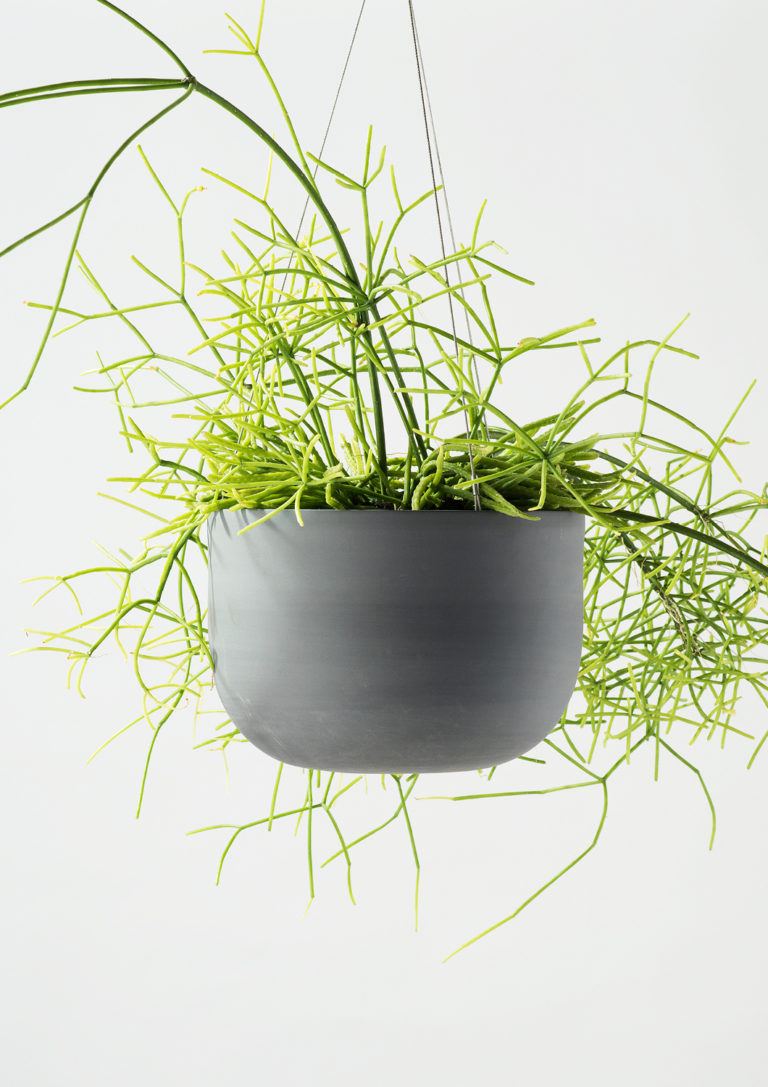 Raw Earth Hanging Planters | Melbourne Ceramics | Indoor Pots