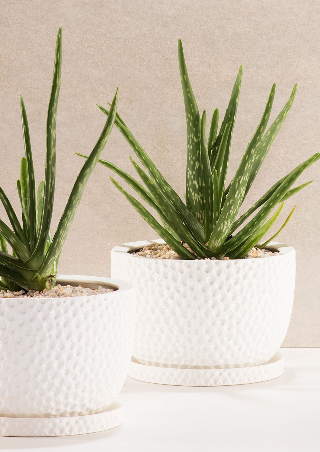 Embossed Plant Pot - Angus & Celeste