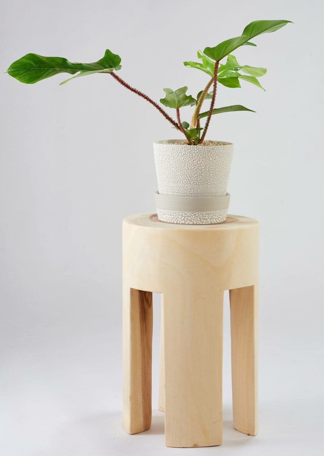 White-Water Bead Plant Pot - Angus & Celeste