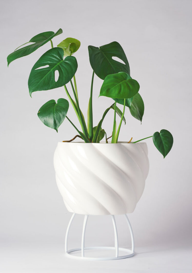Spiral Plant Pots - Angus & Celeste