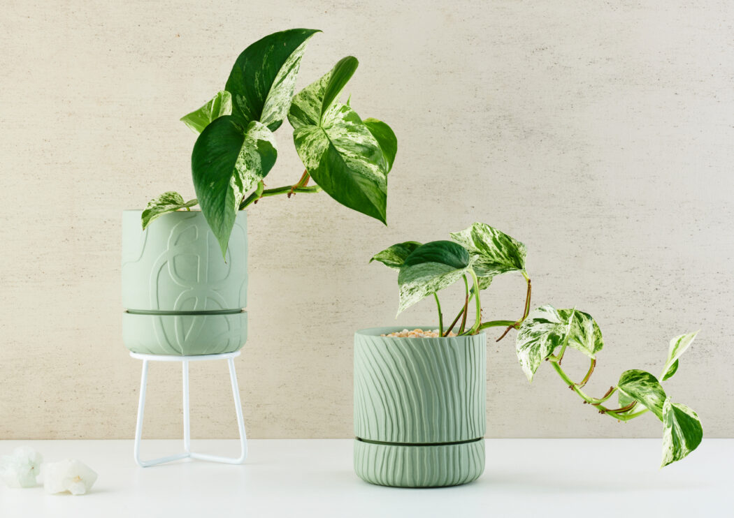 Abstract Relief Plant Pots | Porcelain Planters | Indoor Plant Pots