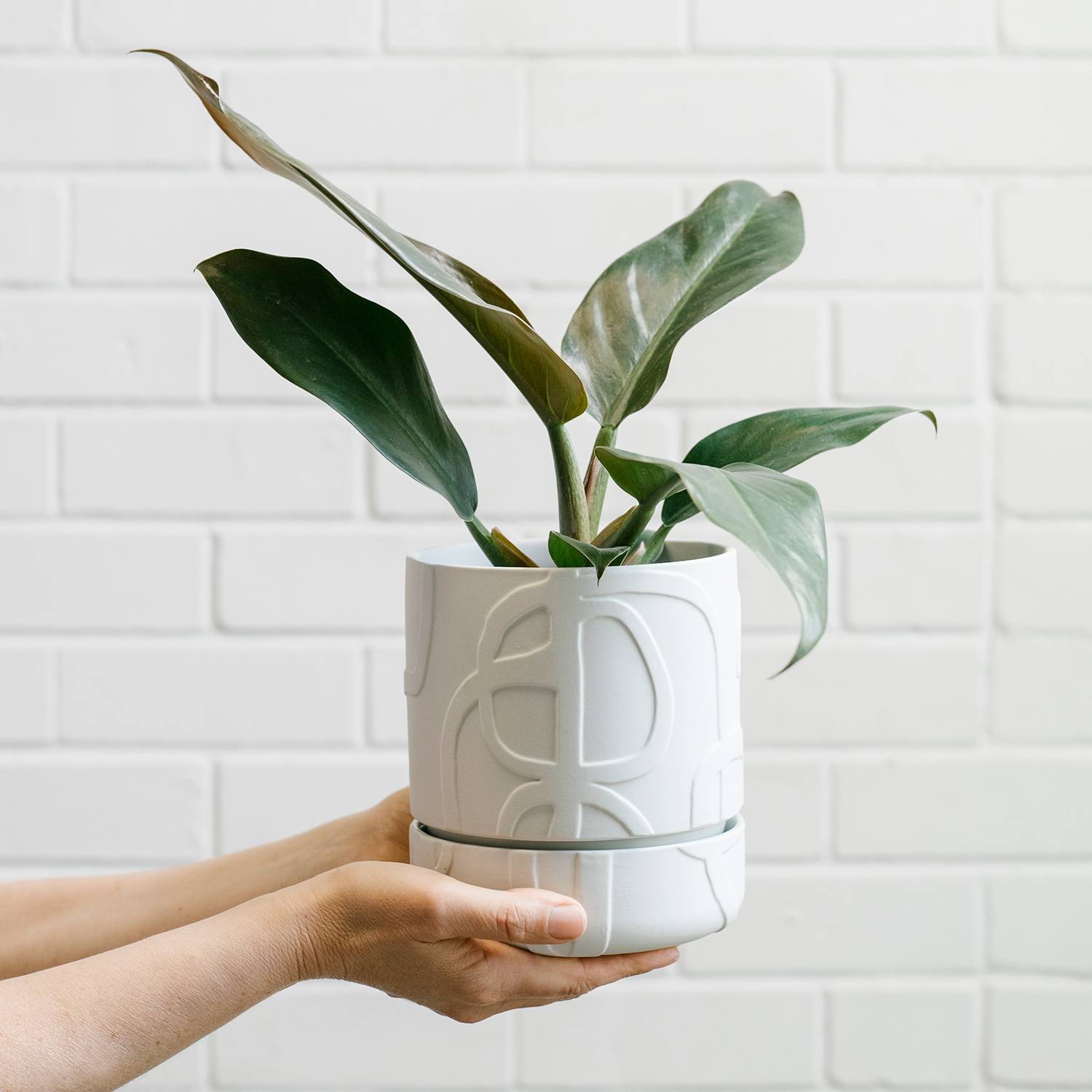 Abstract Relief Plant Pots | Porcelain Planters | Indoor Plant Pots
