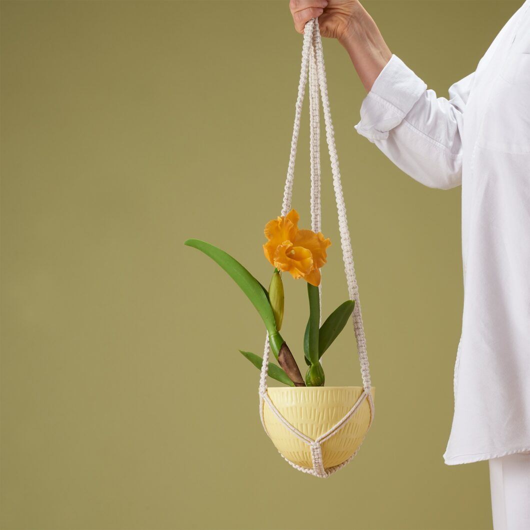 Macrame Hanging Planters | Modern Ceramic Basket | For Indoor Plants